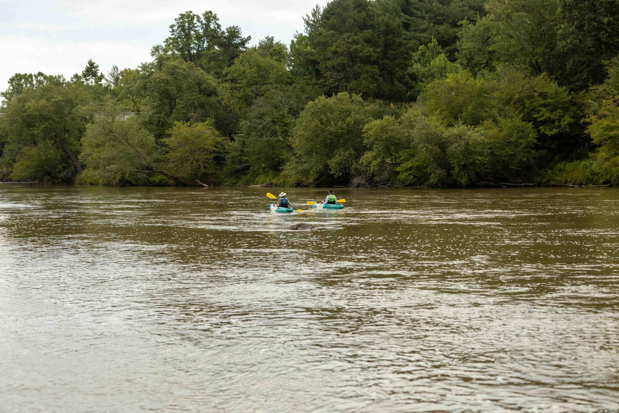 Self Guided Kayaking by the Biltmore | Asheville Adventure Company